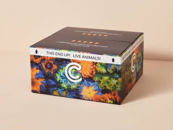 Custom Shipping Boxes – Custom Packaging Made EasyShippers - CompanyBox
